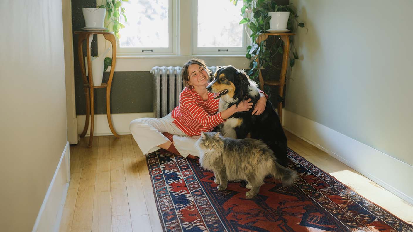 Dog insurance with dental store